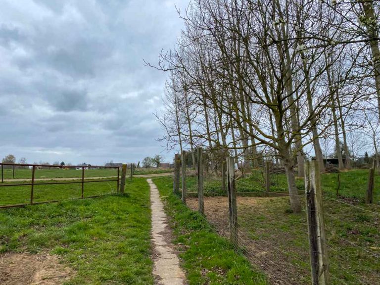 Wandelingen van Erpe-Mere - Ontspanning op z'n best! - GunDisCover