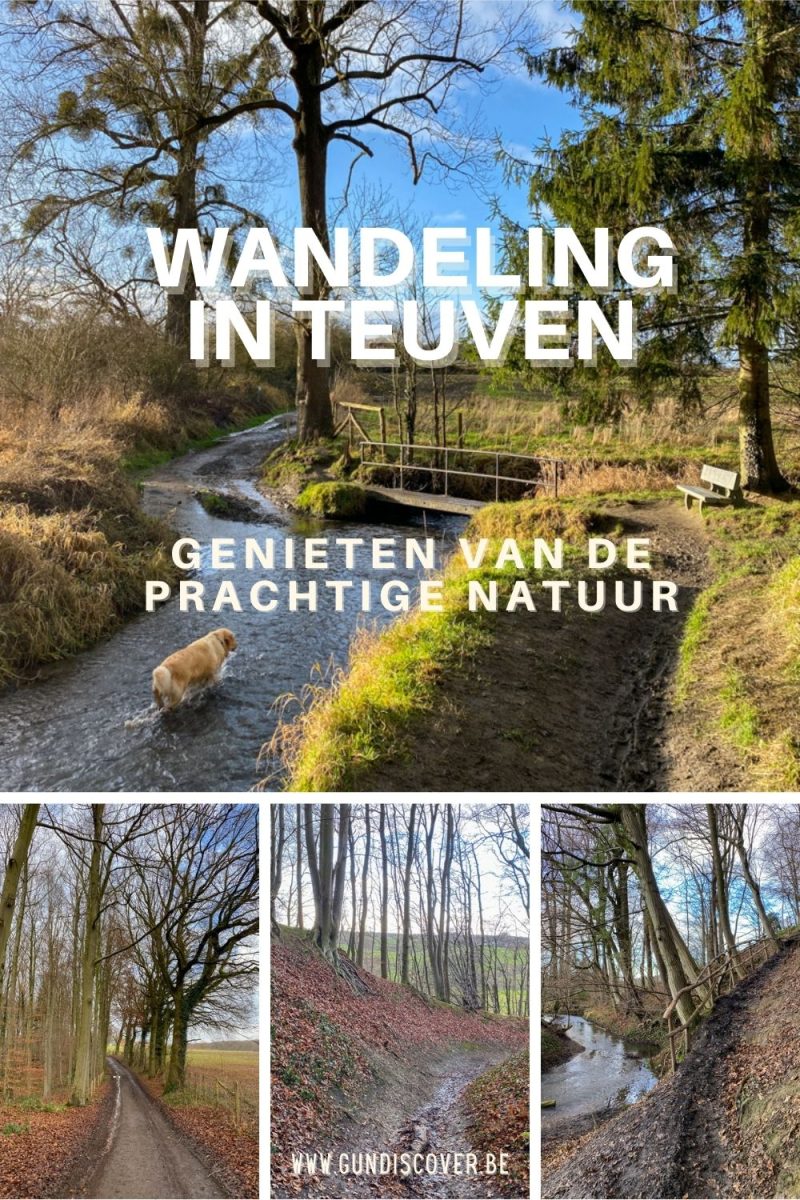 Wandeling in Teuven. Genieten van de prachtige natuur - GunDisCover