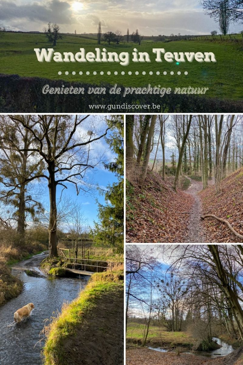 Wandeling in Teuven. Genieten van de prachtige natuur - GunDisCover